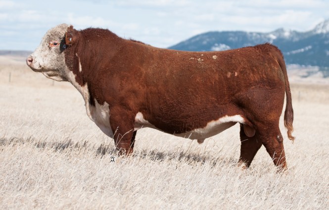 CSC 701 Oshoto 316 – CSC