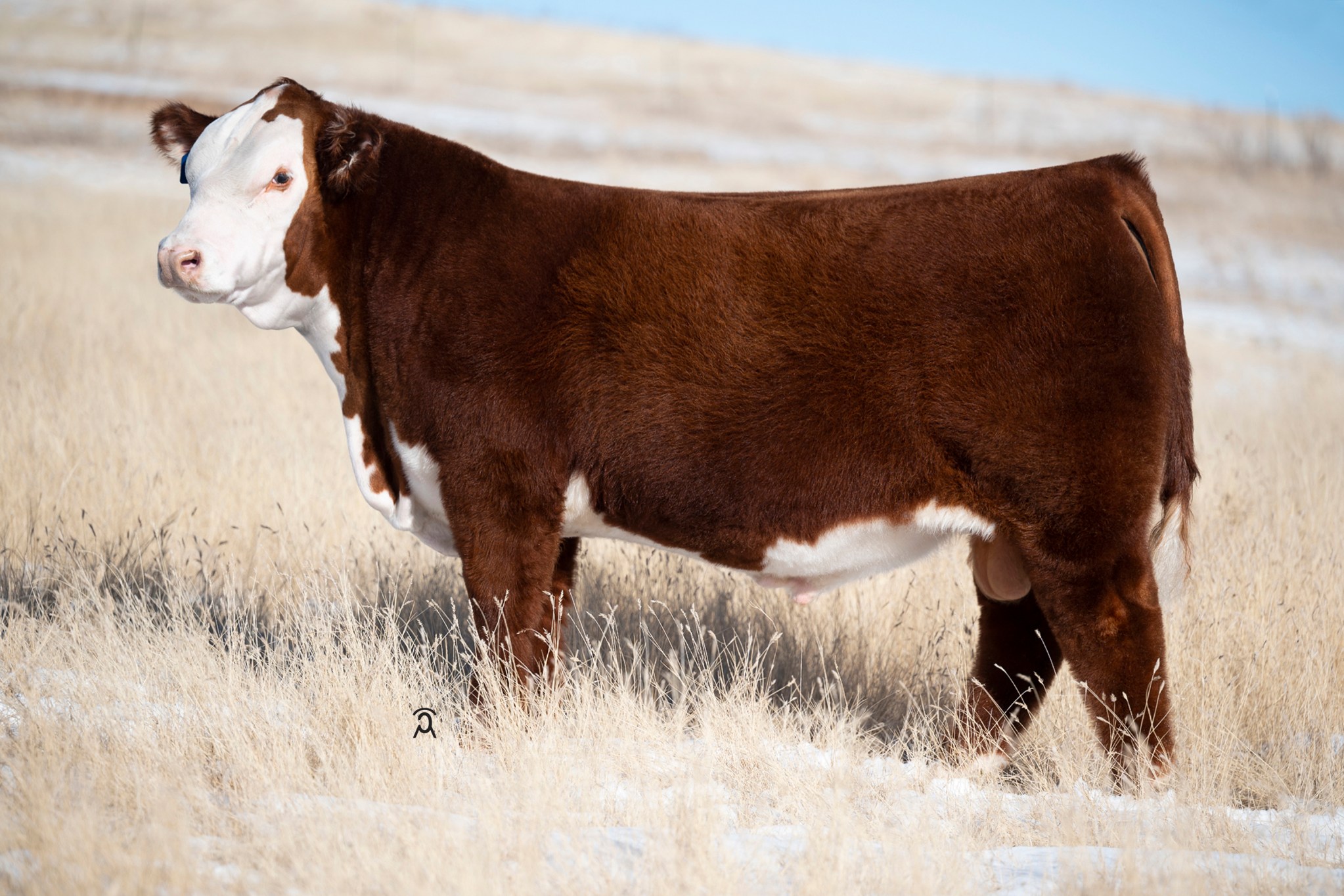 CSC 701 Oshoto 316 – CSC